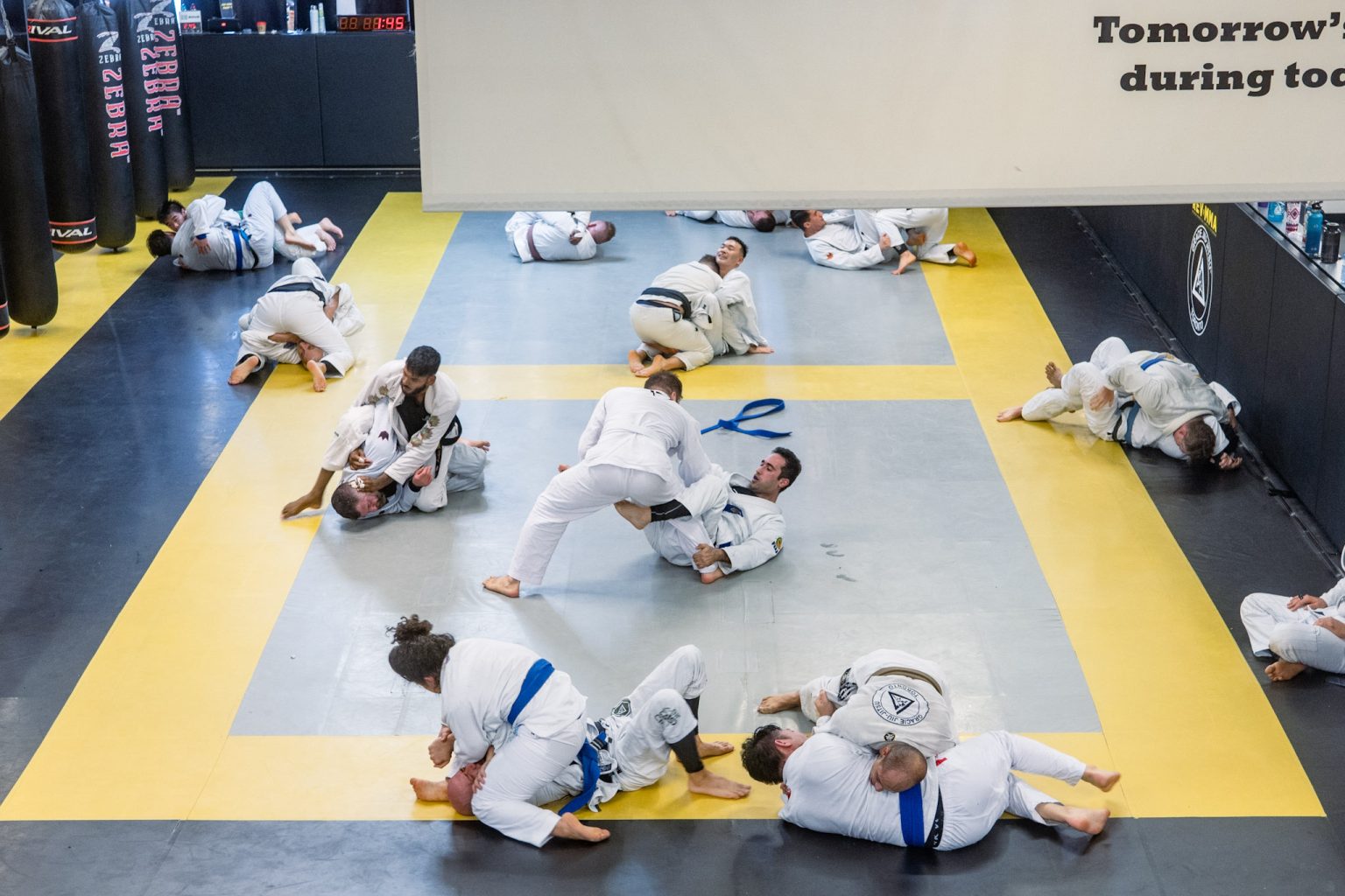 Master CYCLE® - REV MMA